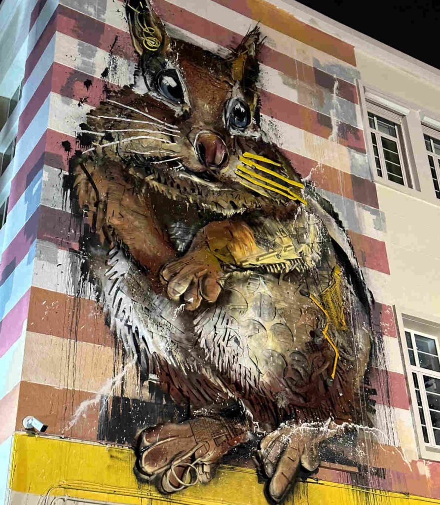 Evilution Bordalo II Esquilo – Digital Hub
